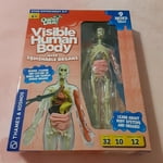 Thames & Kosmos Ooze Labs: Visible Human Body Model with Squishable ...