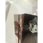 "RECOLLECTION, Striped Heart Mini Photo Album, Multicolored Cover ...