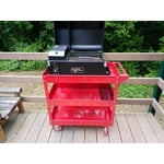 Country Smokers,The Traveler - Portable Wood Pellet Grill - Walmart.ca