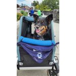 Burley 2 Wheel Stroller Kit - Walmart.com