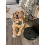 Eufy RoboVac L50 SES Robot Vacuum Cleaner with Self-Empty Station ...