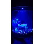 KollerCraft 3.5-Gallon Aquarium Starter Kit, Impact-Resistant Plastic ...