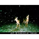 Moultrie Feeders Trail Game Camera 12 Volt Battery Solar Power Panel ...