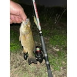 Berkley Big Game Spinning Rod, 8' Medium Heavy, 2-Piece Fiberglass ...