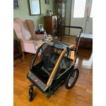 Allen Sports 2-Child Bicycle Trailer and Stroller, model AS2 - Walmart.com