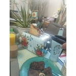 The Pioneer Woman 2-Slice Toaster Folk Geo Print with Removable Tray ...