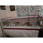 Krolik XXL Rabbit & Guinea Pig Cage - Walmart.com
