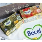 Dairy Free Becel Plant Butter Salted 454g, 454g Brick - Walmart.ca
