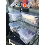 Life Story 6 Quart Rectangular Clear Plastic Lidded Storage Shoe Box, 4 ...