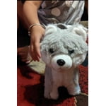 Kid Connection Electronic Walking Pet - Realistic Husky Toy - Walmart.com