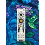 DIRECTV Remote (RC66RX) - Walmart.com
