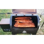 Pit Boss 340 Sq. in. Portable Tailgate, Camp Pellet Grill with Folding ...