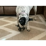 Irish Rover Beef Stick Dog Treats, 35 oz. - Samsclub.com