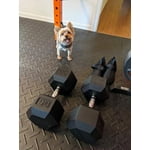 Weider Rubber Hex Dumbbell, 5-70lbs - Walmart.com