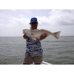 Mitchell Avocet RZ 4000 Spinning Reel, Clam Packaged - Walmart.com