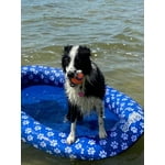 SwimWays Large (65 lbs and Up) Spring Float Paddle Paws, Fabric Covered ...