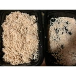 Mainstays Mini Food Chopper 1.5 Cup Black with One-Touch Pulse ...