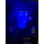 Merkury Innovations Jellyfish Night Light Lamp Motion & Multicolor Leds ...