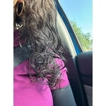 ORS Olive Oil Curlshow Curl Creator for Low Porosity Curly Hair ...