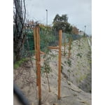 Arrow T75 Wire & Cable Staple Gun - Walmart.com