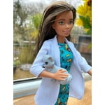 Barbie Pet Vet Fashion Doll, Brunette Veterinarian with Medical Coat ...