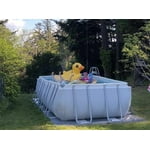 Intex Inflatable Yellow Duck Ride-On Pool Float Toy for Adults, Size ...