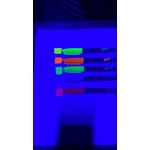 Sharpie Ultimate Collection, 115 Count Colored Markers Bulk Pack ...