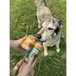 Jinx Kibble Sauce Chicken Bone Broth Dog Meal Topper, 12 fl oz Bottle ...