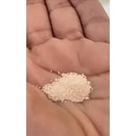 Korean Cleanser - OSEQUE Enzyme Powder Face Wash (1.76oz / 50g ...