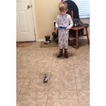 Little Tikes My First Flyer - Walmart.com