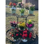 Ktaxon 6-Tier Garden Cart Stand & Flower Pot Metal Plant Holder Display ...