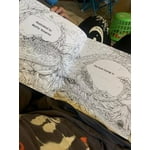 Kerby Rosanes: Geomorphia: An Extreme Coloring and Search Challenge, 48 ...