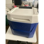 Igloo MaxCold Reusable Small Ice Freeze Block - Blue, Freezer Packs ...