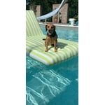 Drift and Escape Pool Chaise Lounge - Morgan Dwyer Signature Series ...