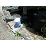 Wardley Pond Pellets Fish Food, 3 Lb - Walmart.com