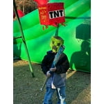 Minecraft Paper Party Masks 8ct Featuring Mob Designs for Kids Birthday ...