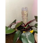 Dyna-Gro Foliage Pro Indoor Plant Growth Fertilizer 9-3-6 Liquid Food ...