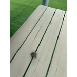 Raid Defend Outdoor Defense System Wasp and Hornet Bug Spray, Insect ...