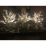 Collections Etc. Frosted LED Lighted Tabletop Tree Branches Decoration ...