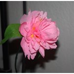 Fiesta 12" x 12" Crepe Paper by Recollections™ - 40 Sheets - Walmart.com