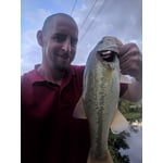 Fenwick Elite Tech Walleye Spinning Fishing Rod - Walmart.com