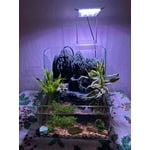 Penn-Plax Aquaterrium Tank - Hydroponic Glass Aquarium for Live Plants ...
