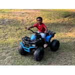 Hikiddo 24V Electric Quad, Youth Four-Wheeler Ride on Toy, 2 Seater ...