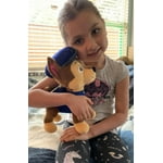PAW Patrol, Talking Chase 12-inch-Tall Interactive Plush Toy, for Ages ...
