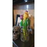 LEGO Iconic Tulip 40461, 3 Buildable Flowers with Adjustable Stems ...