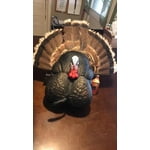 Flextone Hunting Lightweight Ultra Realistic Lifelike Plastic Outdoor ...