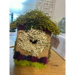 Proflora Preserved Green Moss Mix Collection, 150 CU in - Floral ...