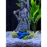 Fluval Spec III Aquarium Kit, 2.6 Gallon, Black - Walmart.com