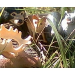 Learning Resources Jumbo Forest Animals - Fine Motor Skills for ...