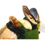 12 Pack: Mini Green Grass by Make Market® - Walmart.com